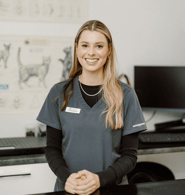 Meet Our Team | Newstead Veterinary Service | Newstead Vets Hamilton